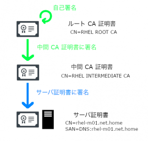 【RHEL 9】【OpenSSL】【ECC 証明書】プライベート認証局の構築 (ルート CA・中間 CA) | NE-Lab